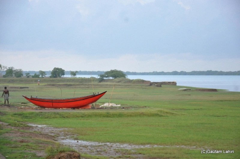 Flora and Fauna – SPITFIRE GAUTAM